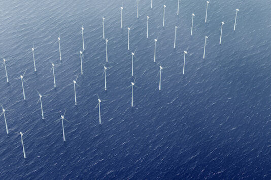 Oyster trial wind farm Luchterduinen - De Rijke Noordzee